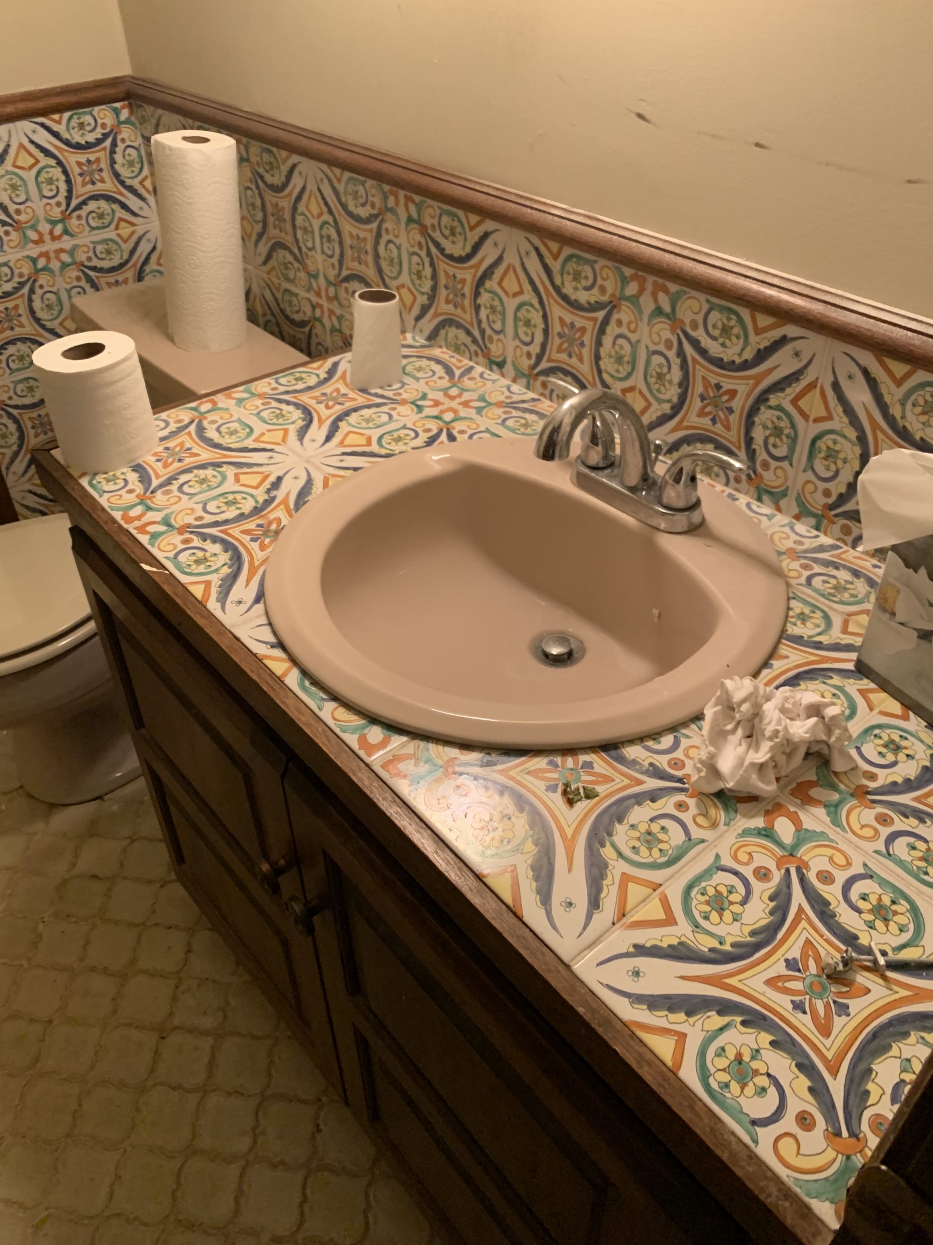 The Hall Bath Remodel Project: Part 1 • Whitney English